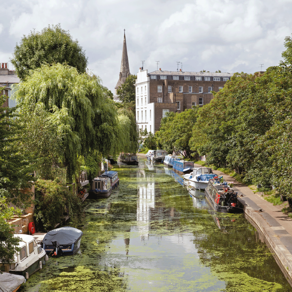 Primrose Hill & Regents Park - Fabric Magazine